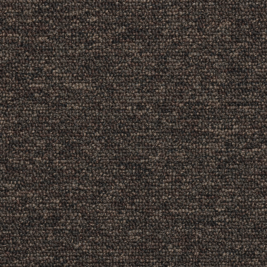 Triumph Loop Chocolate | JHS