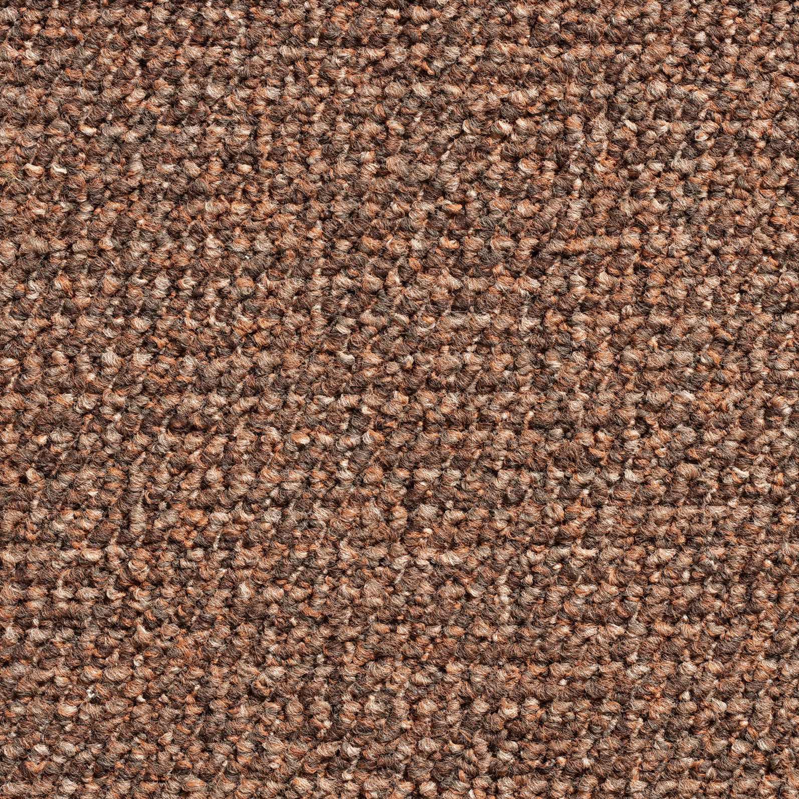 Elevate - Cardinal | JHS