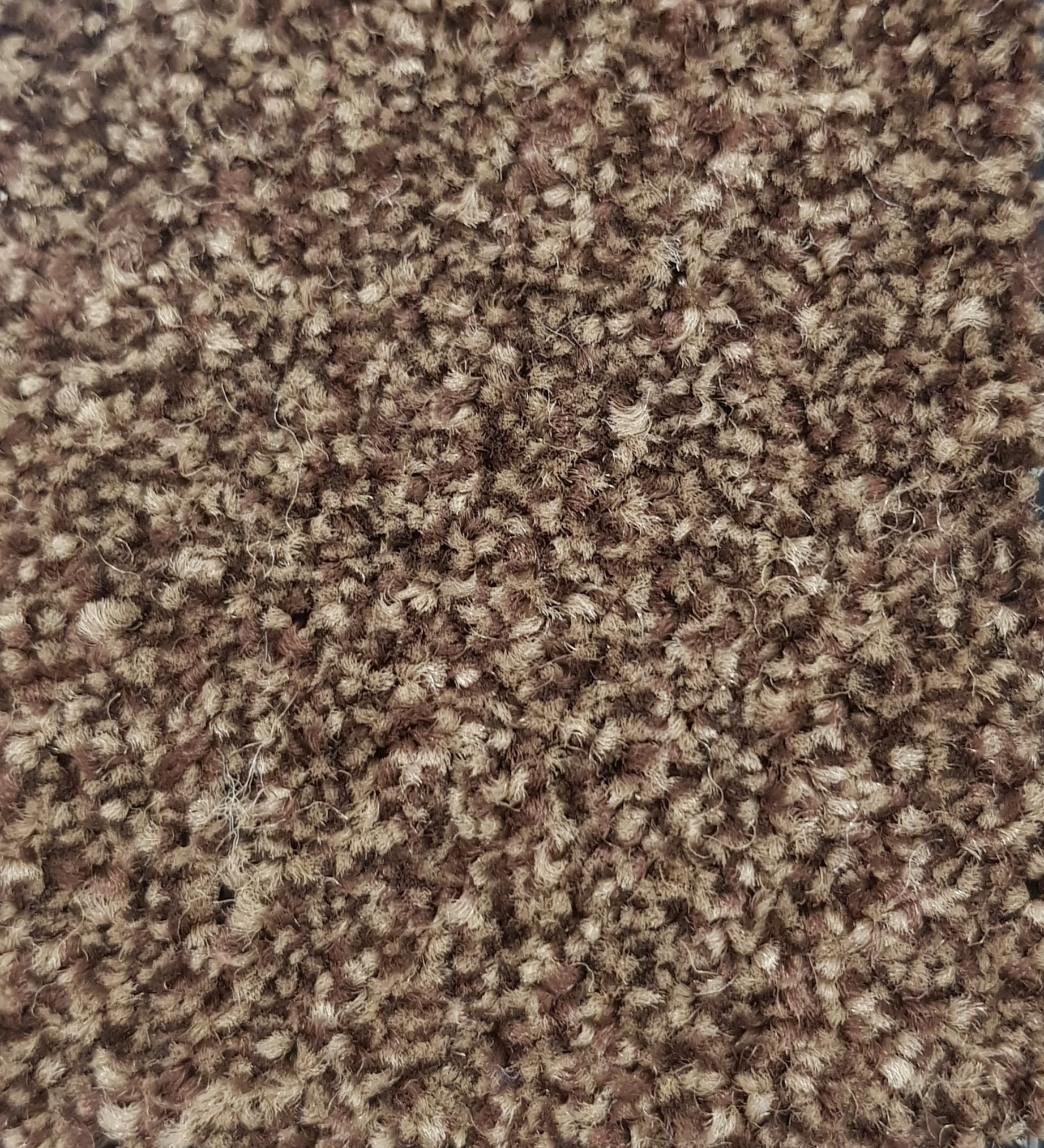 Universal Heathers Bark (Action Back) | JHS